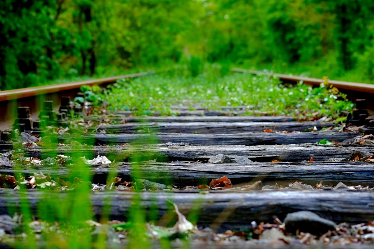 £500m Rail Investment to Reverse Beeching Closures - GrantFinder