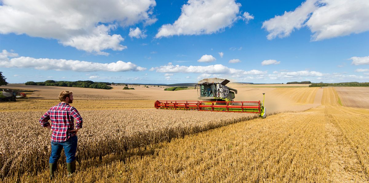 Countryside Stewardship Grants Open for 2023 Agreements - GrantFinder